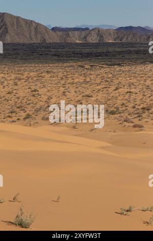 View of El Pinacate volcano from the desrt in Sonnora Stock Photo - Alamy