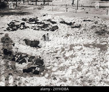 Malmedy Massacre, 1944 Stock Photo - Alamy