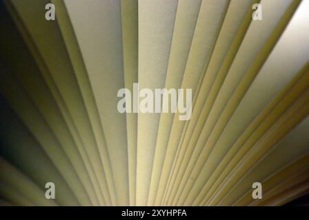 Graphic representation of fan book sheets Stock Photo - Alamy