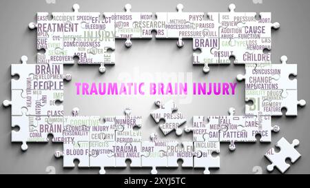 Traumatic Brain Injury as a complex subject, related to important ...