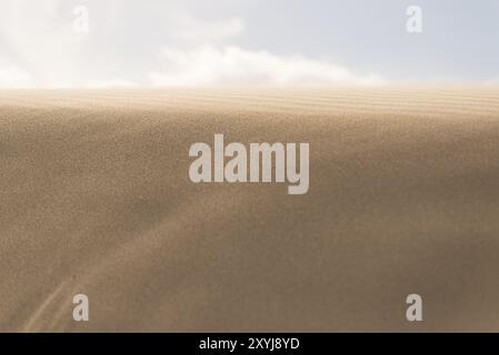 Fine texture and lines of sandy dunes in a desert Stock Photo - Alamy