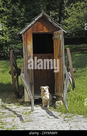 Farmhouses and mixed use farming Stock Photo - Alamy