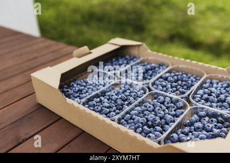 Box or crate with collected fresh blueberries. Berries agriculture ...