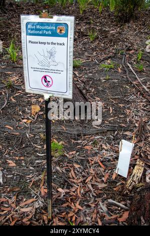Blackheath mountain town in the BLue Mountains of Australia - aerial ...