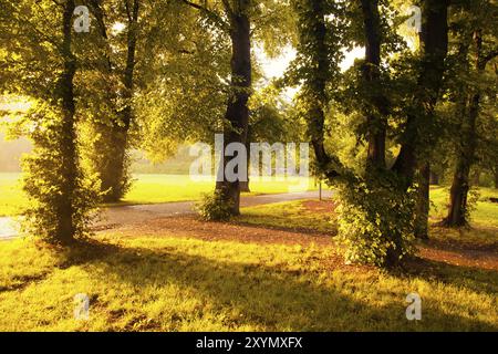 Sunset in Paradise Park in Jena after a rain storm, Sunset in Paradise ...