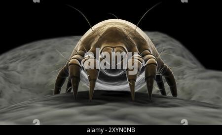 Microscopic visualization of a dust mite Stock Photo - Alamy