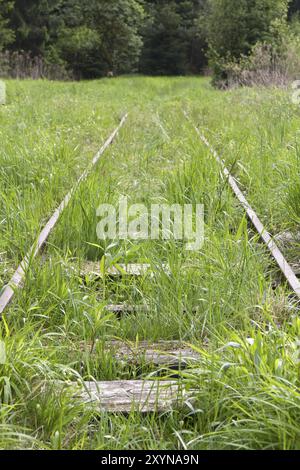 Disused railway line in an upland moor in Bavaria Stock Photo - Alamy