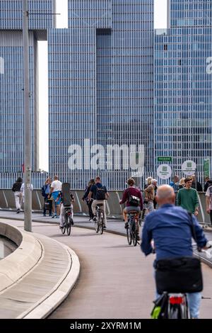 Cyclist on the cycle path of the Erasmus Bridge over the Nieuwe Maas, skyline of skyscrapers on ...