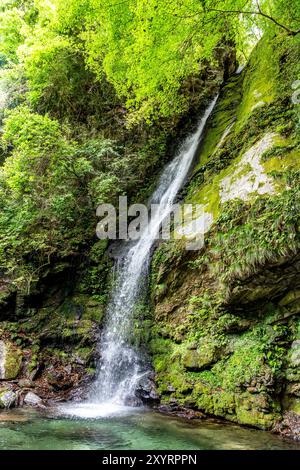 Iya valley and Kazurabashi vine bridge, Tokushima, Shikoku, Japan Stock ...
