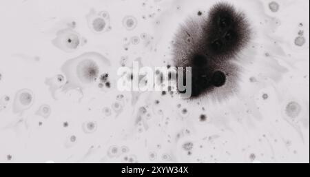 black ink drops spreads on white wet paper, wide photo Stock Photo - Alamy