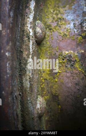 Rivet and flange, close-up Stock Photo - Alamy