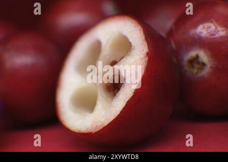 Macro of a cranberry cut in half, revealing a white interior with red ...