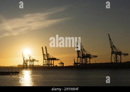 Large ship to shore container cranes at sunset Stock Photo - Alamy