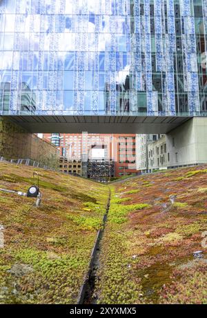 Green spaces around buildings, here at Hogeschool Inholland Rotterdam ...