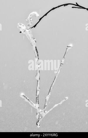 Closeup shot of a crystal figure on a water surface making circle waves ...