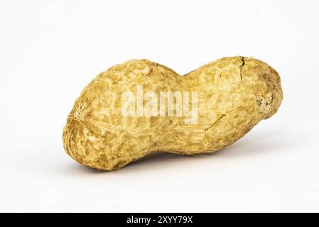 Netherlands. October 2022. Peanuts, isolated on white background Stock ...