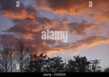 Setting sun on the outskirts of Berlin. The sky seems to burn. Romantic ...