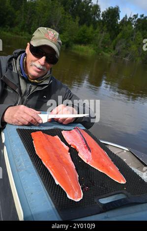 Alaska's great angling opportunities include the silver salmon, which ...