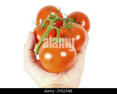 A person holds a bright red tomato in their hands while standing in a ...