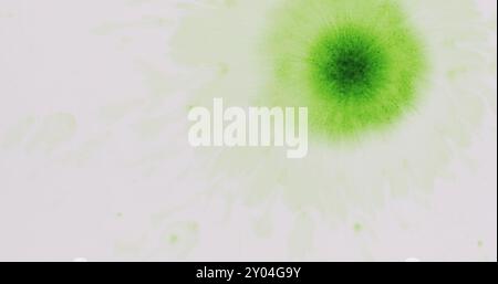 green ink drops spreads on white wet paper, wide photo Stock Photo - Alamy