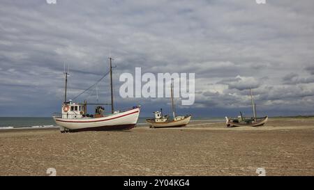 Scene at Thorup beach, west coast of Denmark Stock Photo - Alamy