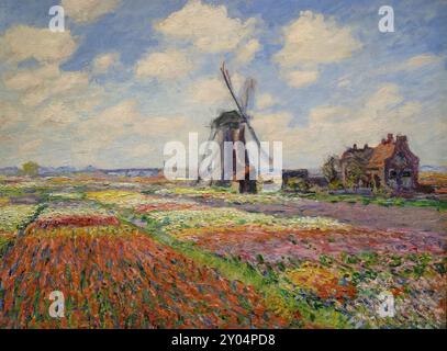 Claude Monet - Tulip fields in Holland Stock Photo - Alamy