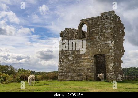 North York Moors landscape, looking at Skelton Tower, seen from the ...