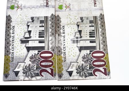 Reverse side of 200 SAR two hundred Saudi Arabian riyals banknote ...