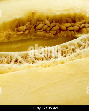 The natur vegetable Melon object Stock Photo - Alamy