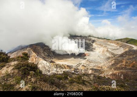Poas Volcano NP, Costa Rica - April 3, 2017: Closeup of Lonicera ...