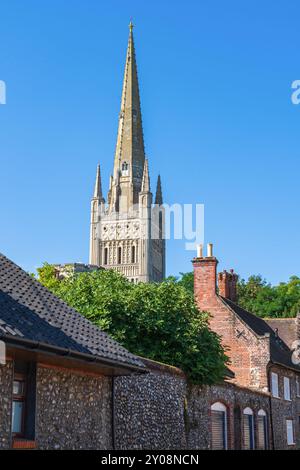View of Norwich Cathedral behind traditional Norfolk Flint built houses ...