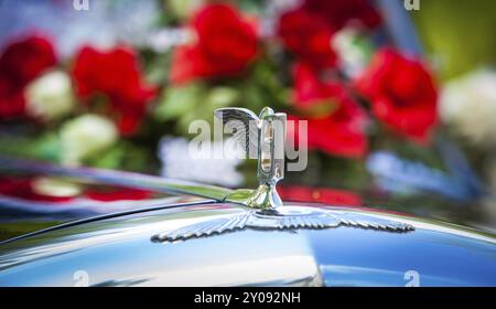 Radiator figure letter b with wings on a Bentley Stock Photo - Alamy