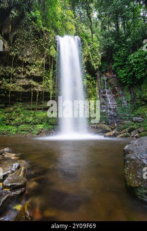 Serene Mahua Waterfall with smooth water flow and green surroundings ...