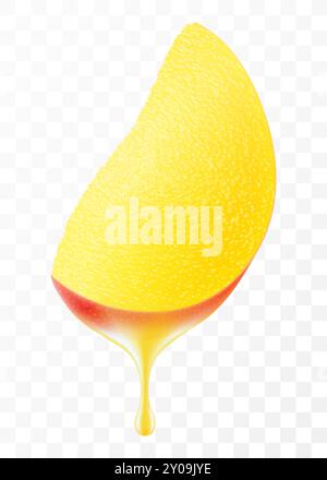 Isolated slice of mango dripping juice - Vector Stock Vector Image ...