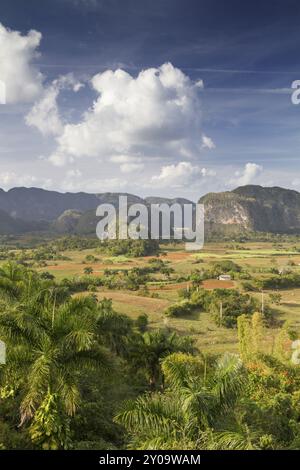 Agricultural landscape near Vinales, Cuba Stock Photo - Alamy