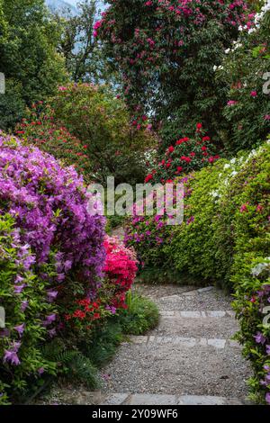 A stone pathway through Villa Carlotta Garden on Lake Como, with ...