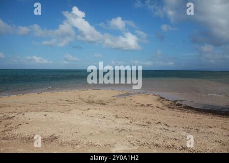 Beautiful tropical island lagoon lam tree landscape, Fiji Stock Photo ...