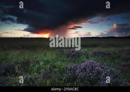 coming dramatic storm during summer sunset over marshes Stock Photo - Alamy