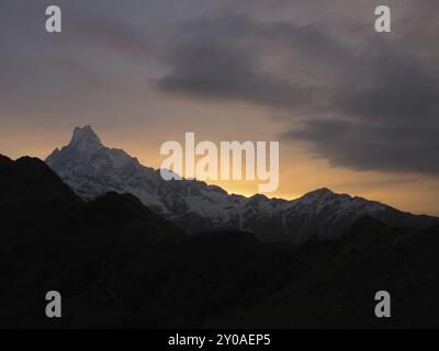 The sacred mountain Machapuchare, also known as the Fish Tail, rises to ...