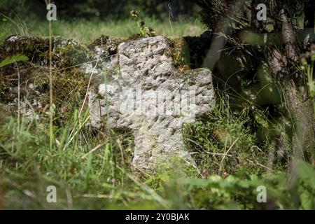 Very old single tombstone made of red sandstone overgrown with grass ...
