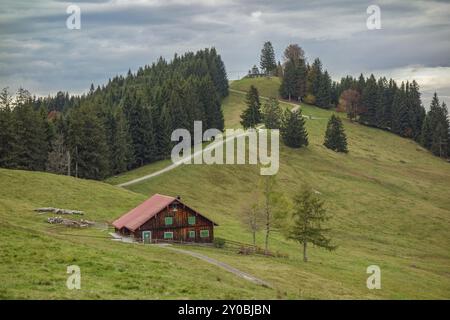 A path surrounded by trees on hills Stock Photo - Alamy