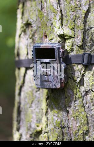 Wildlife camera for recording animals Stock Photo - Alamy