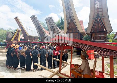 Scene from traditional tana toraja funeral ceremony on Sulawesi in ...