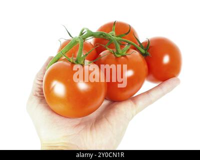 A person holds a bright red tomato in their hands while standing in a ...