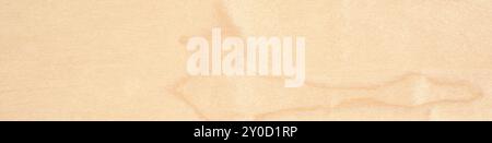 Close-up view of distinctive patterns on weathered wooden planks. The ...