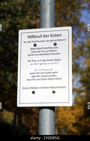 Call for help from the ducks Stock Photo - Alamy