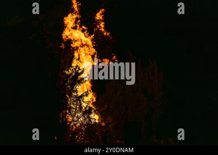 The Night of Ancient Bonfires. The texture of a natural fire. Big ...