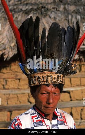 Tirio Indians, Suriname Stock Photo - Alamy