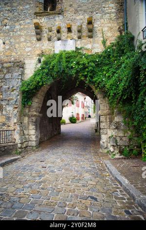 A vertical shot of a small road in the Austrian Alps during sunset ...