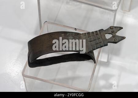 Pre-Hispanic Amerindian metal artifacts in the Pio Pablo Diaz ...